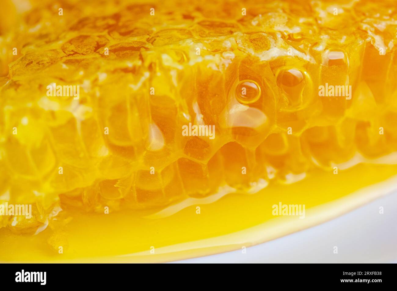 Honeycomb with honey in closeup. Gold beautiful honeycomb with honey ...
