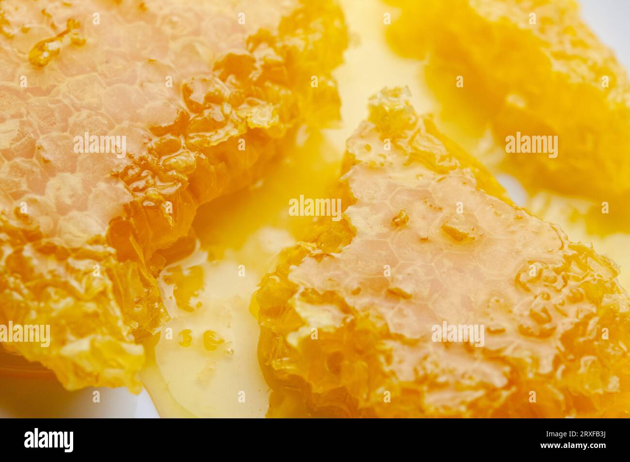 Beautiful honeycomb hi-res stock photography and images - Alamy