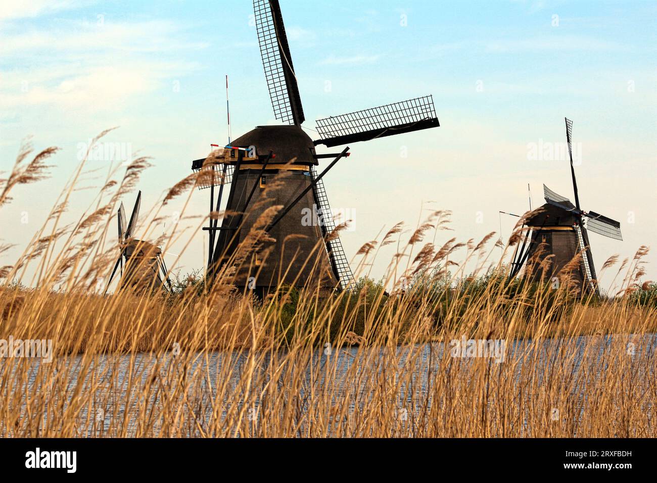 Kinderdijk, Netherlands. Beautiful nature and windmills in the Dutch ...
