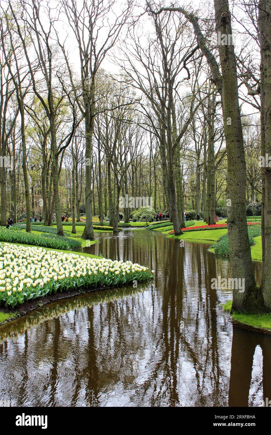 Keukenhof, Netherlands. Beautiful view of the most famous Dutch ...