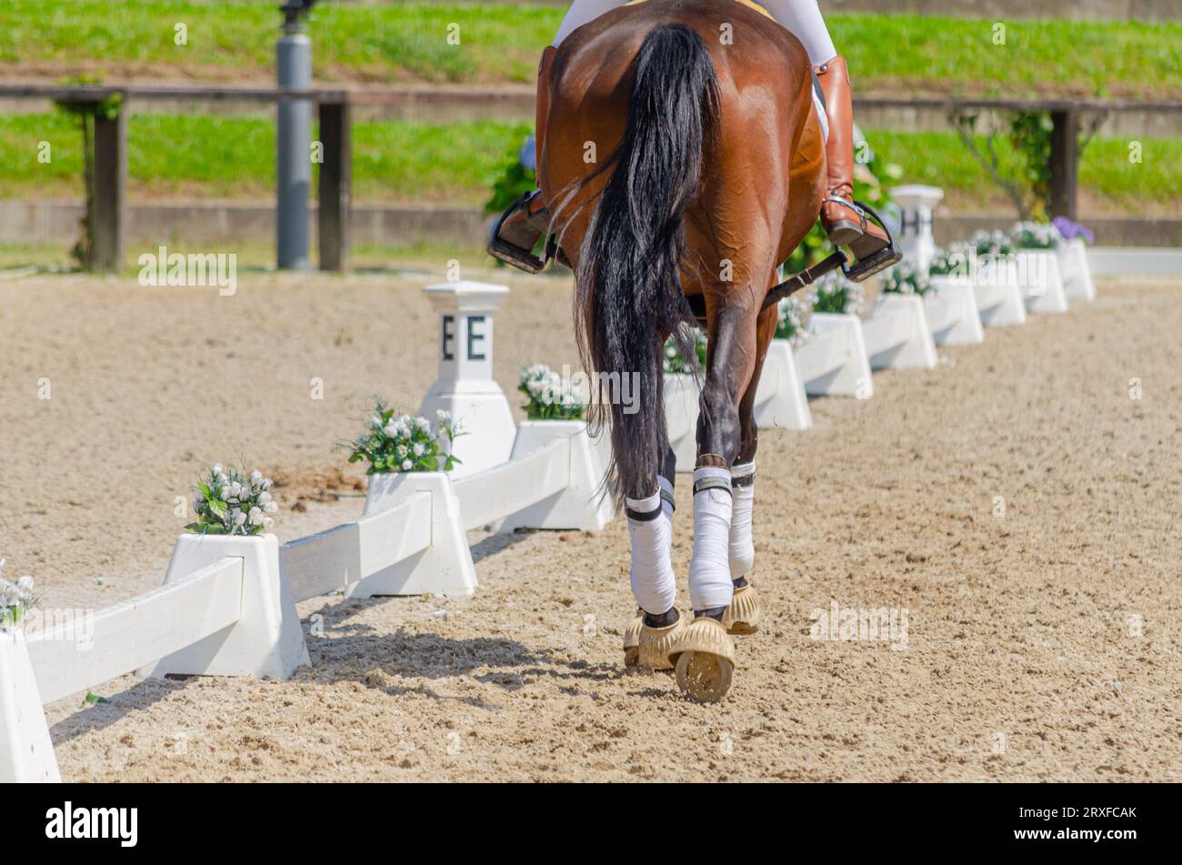 Horse saddle from behind hi-res stock photography and images - Alamy