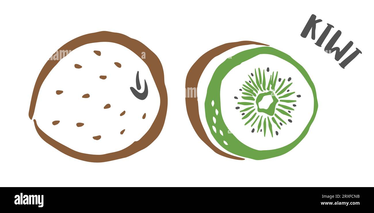 Kiwi fruit drawing hand painted with ink brush isolated on white ...