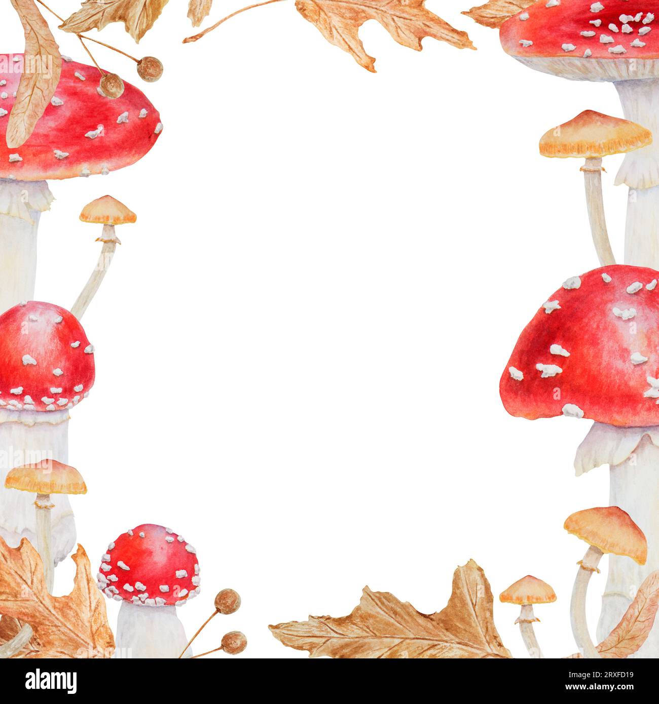 Red Fly Agaric Watercolor Hand Drawn Frame Realistic Botanical