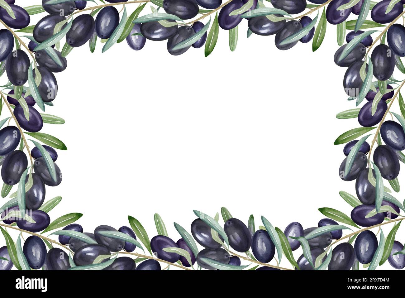 watercolor frame with branch of black olives with leaves and fruits ...