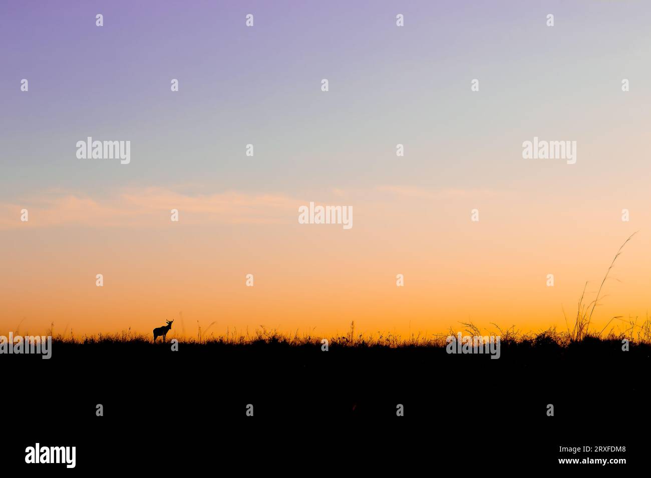 African landscape art hi-res stock photography and images - Alamy