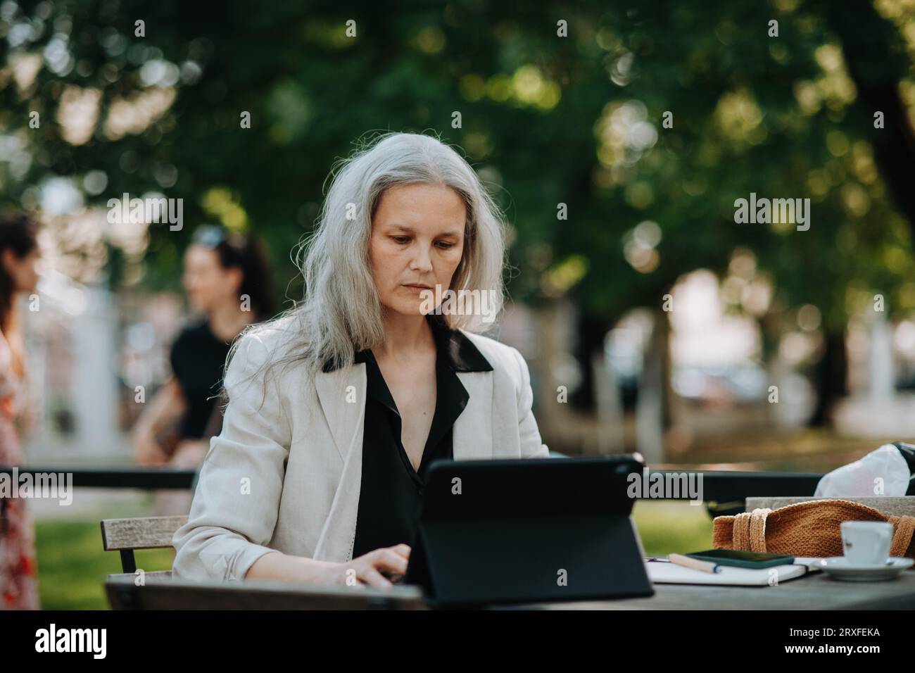 Portrait of beautiful female manager in middle age with gray hair ...