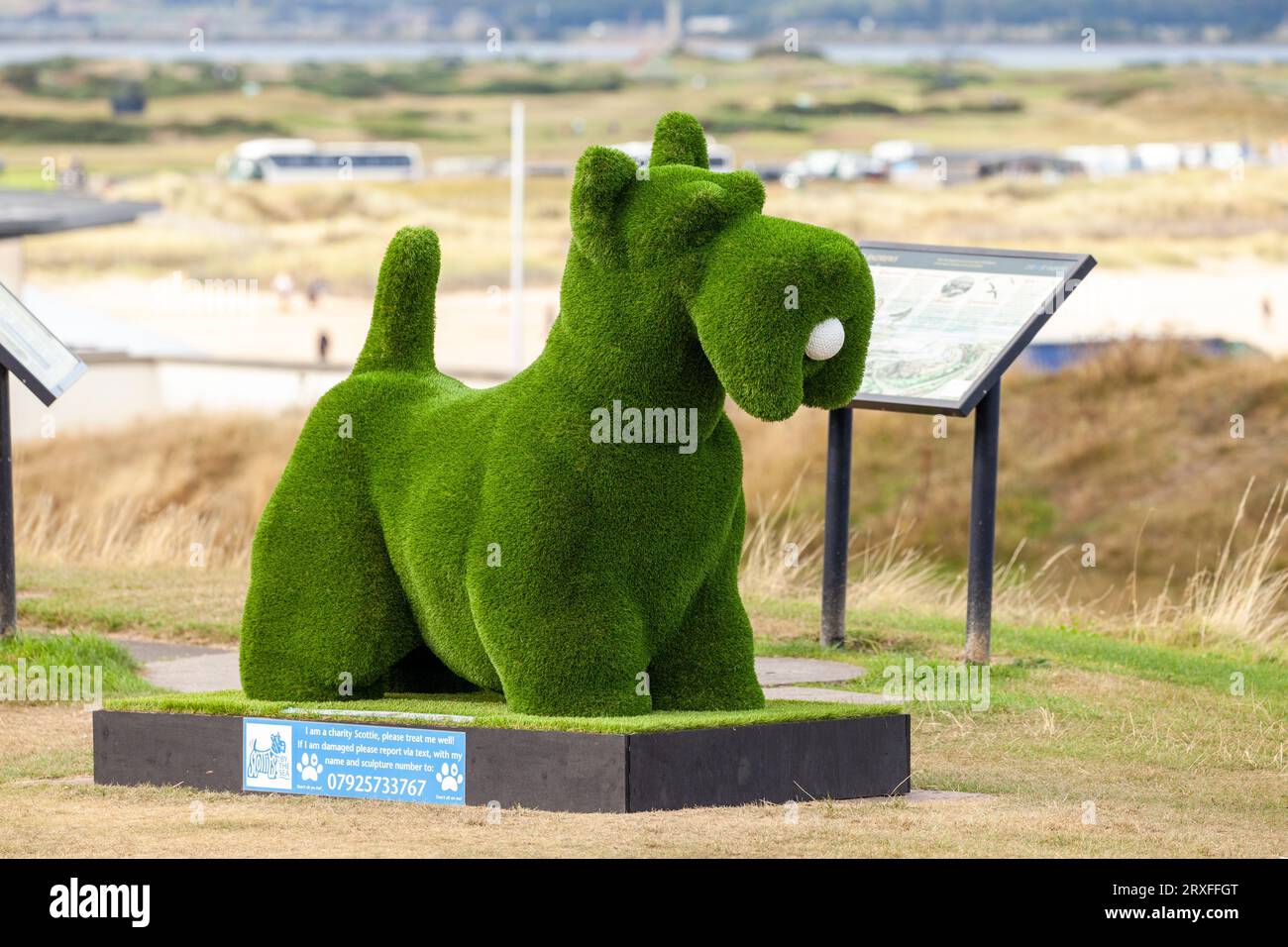 Dog topiary hi-res stock photography and images - Alamy