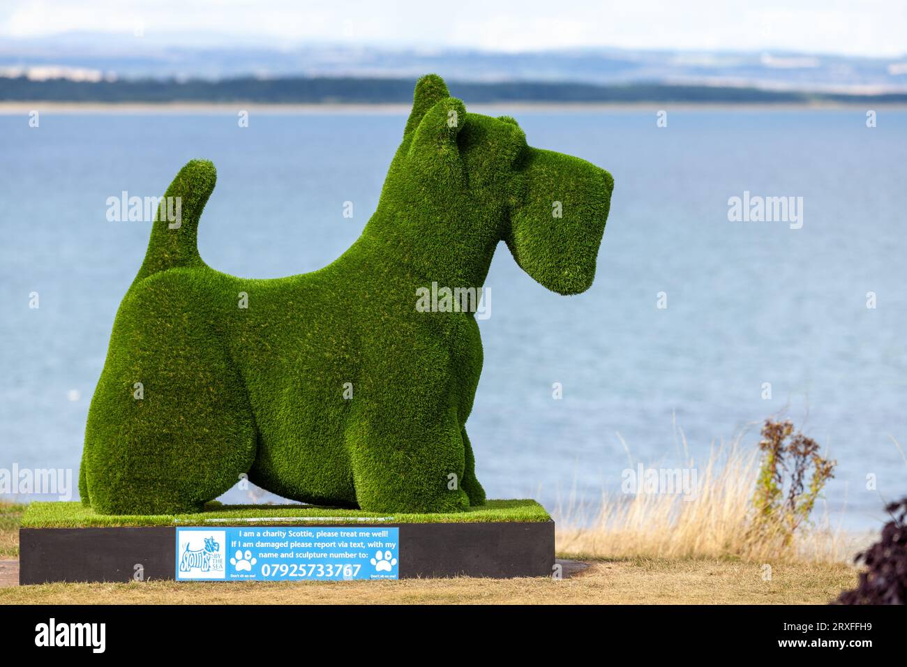 Dog topiary hi-res stock photography and images - Alamy