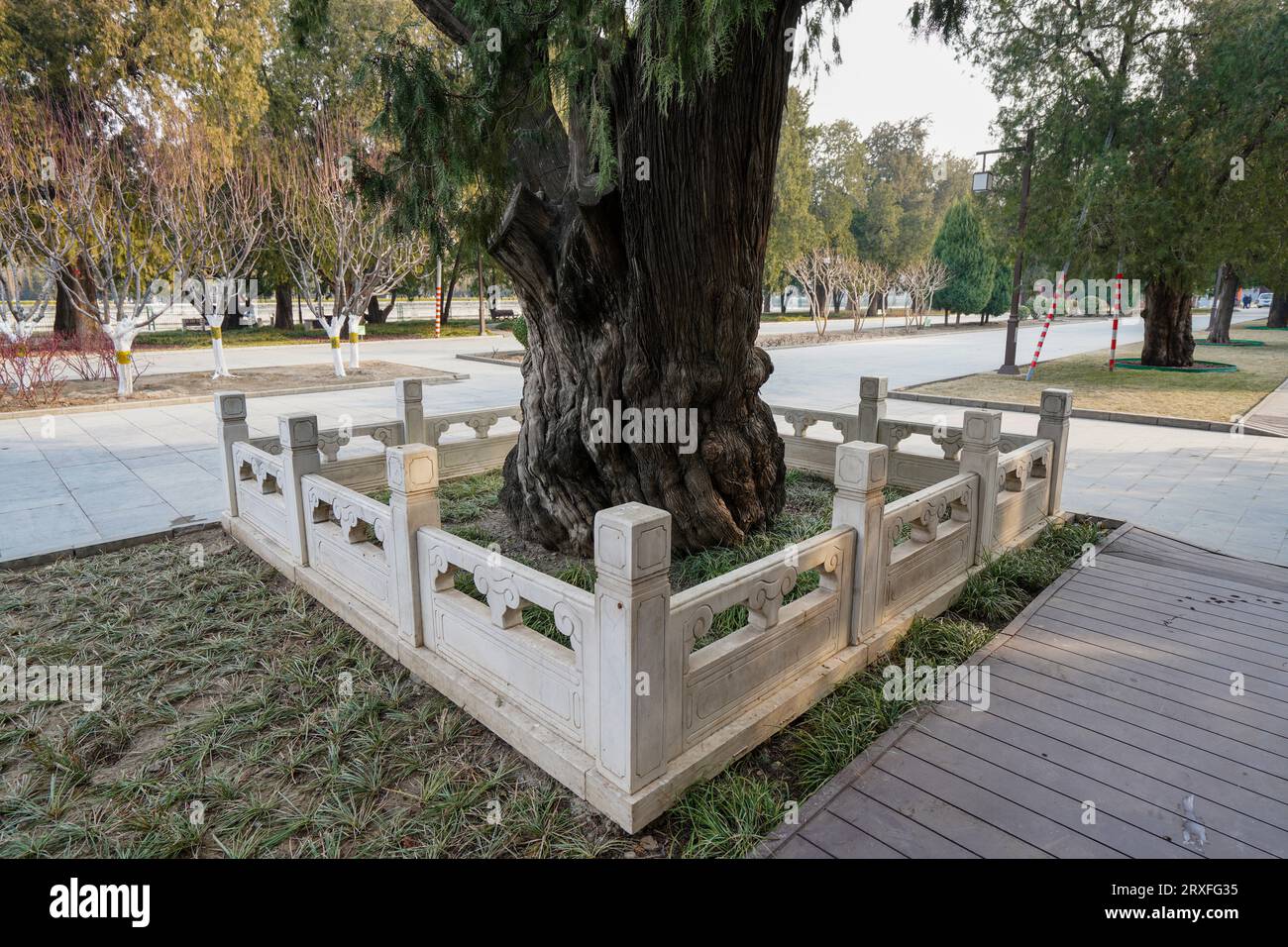 Yongle emperor hi-res stock photography and images - Alamy