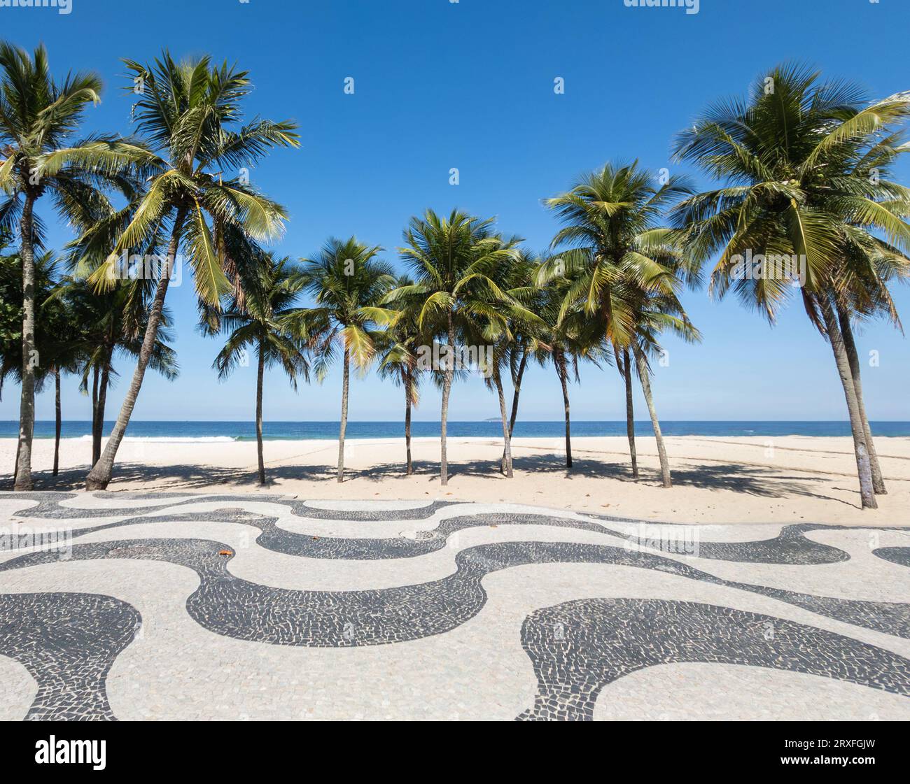 Famous Boardwalk on Copacabana Beach and coconut trees with blue sky in ...