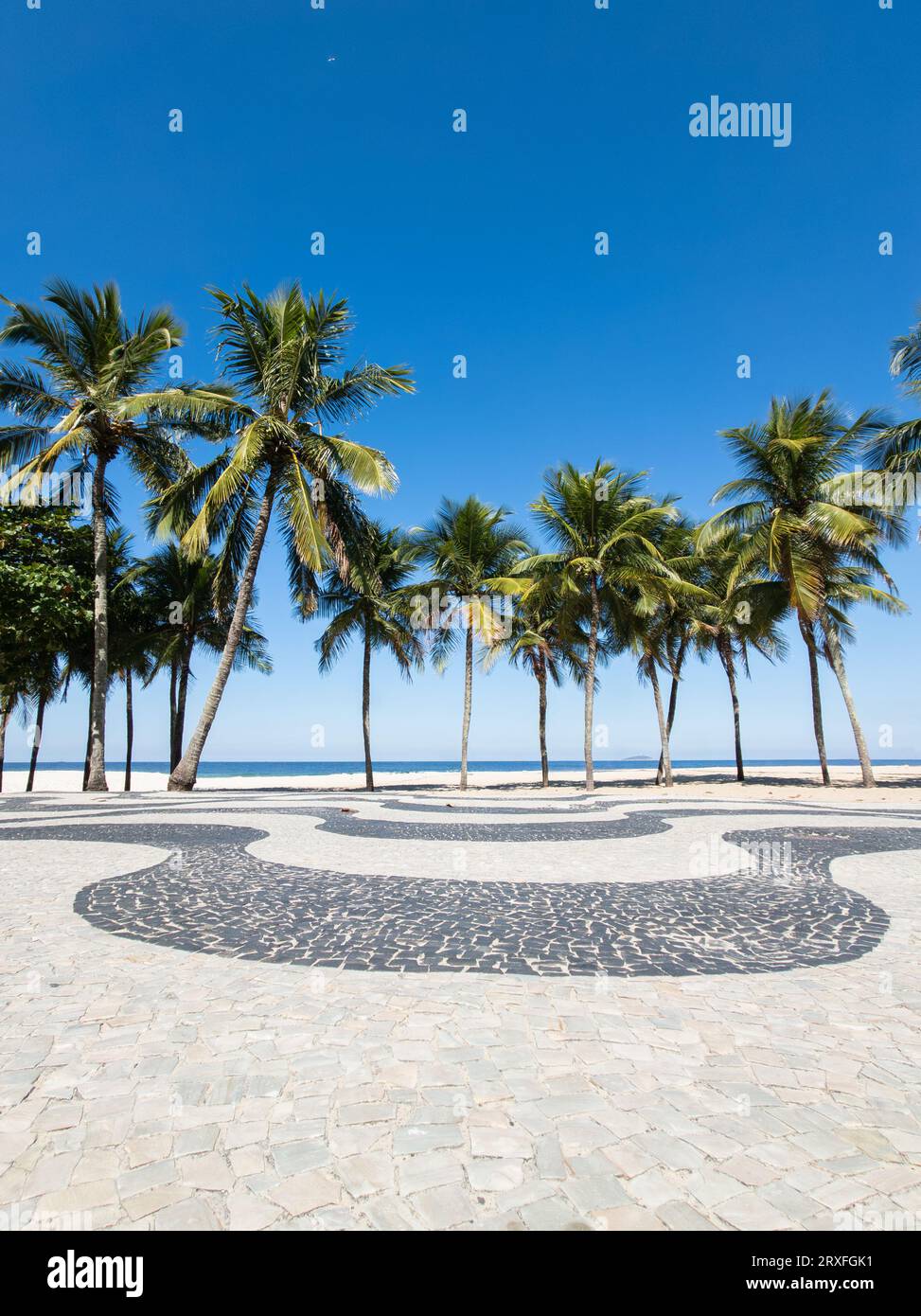 Famous Boardwalk on Copacabana Beach and coconut trees with blue sky in ...