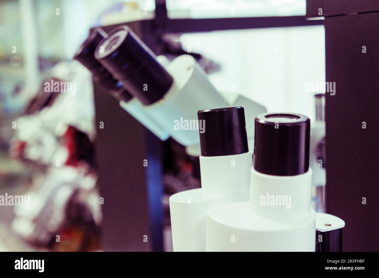 Research in lab hi-res stock photography and images - Alamy