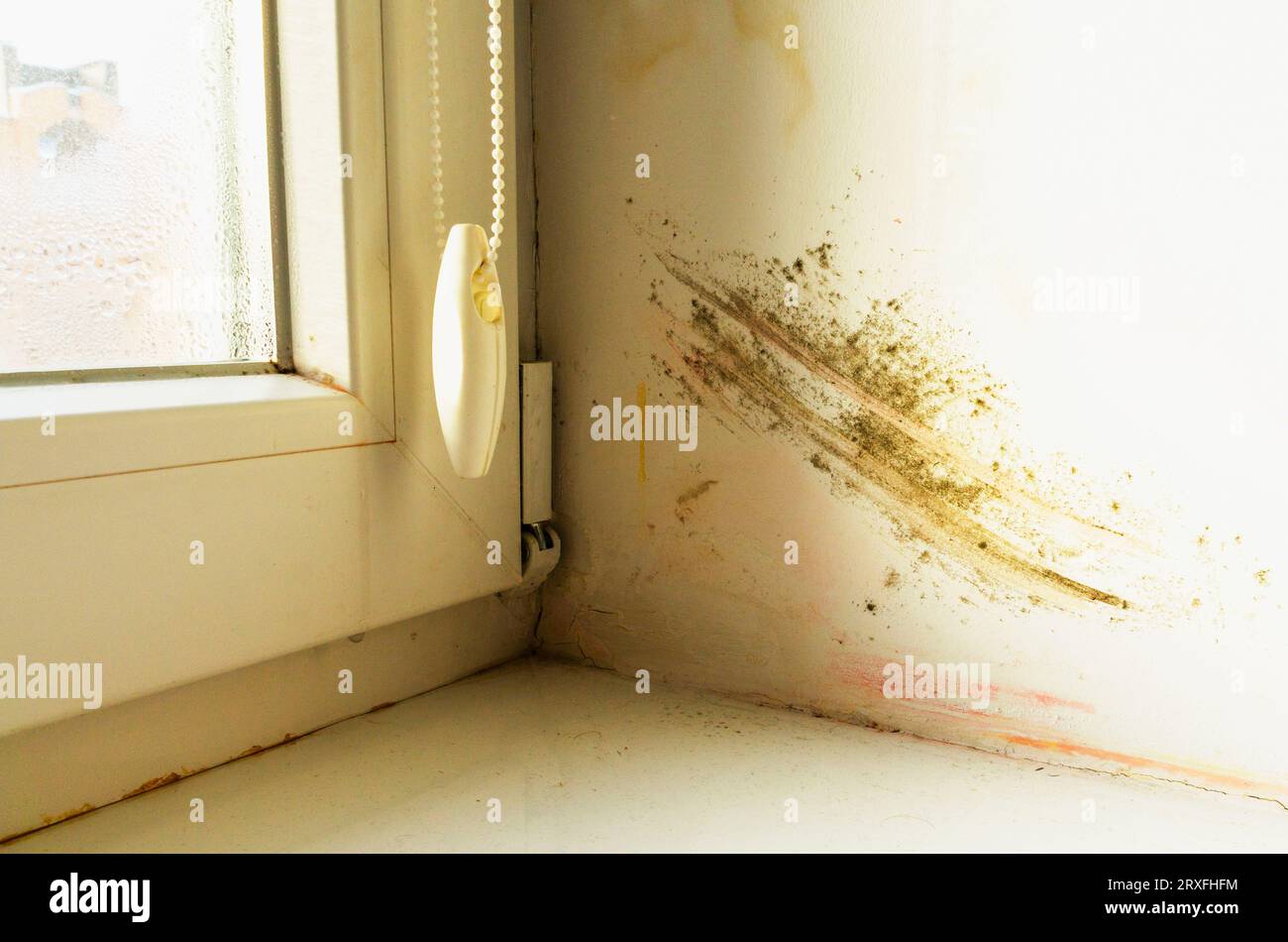 Condensation mould window hi-res stock photography and images - Alamy