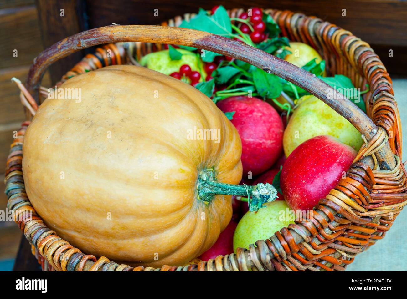 Gifts of fall. Huge vegetables in the cart. Vegetables in a wicker ...
