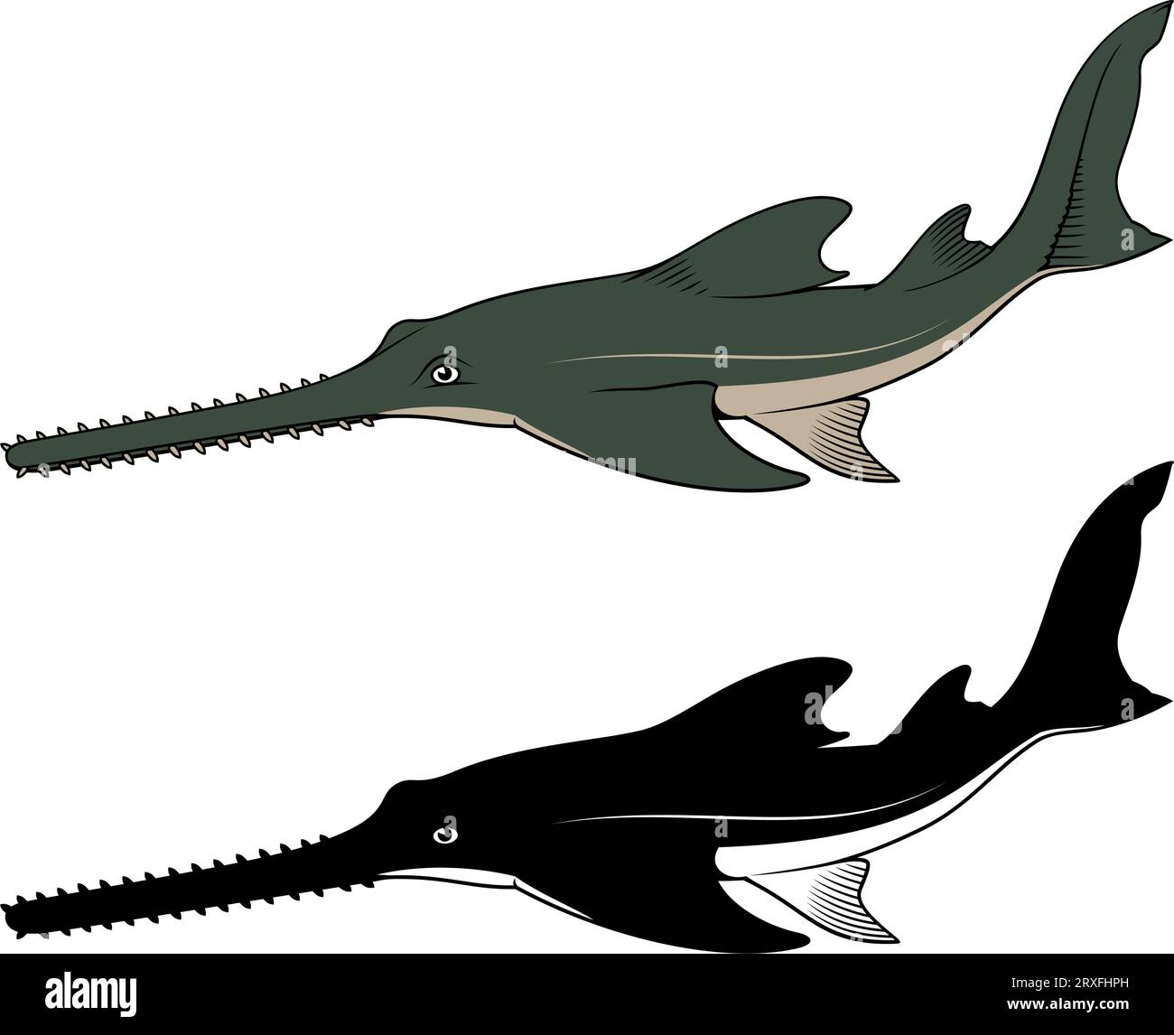 Ocean animal clipart Stock Vector Images - Alamy