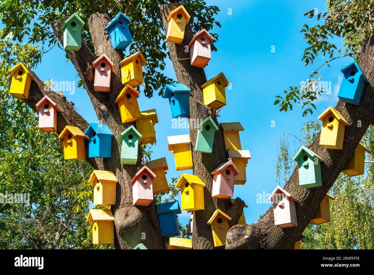 Multicolored Birdhouses.Colored nesting box. Colorful Bird Houses ...