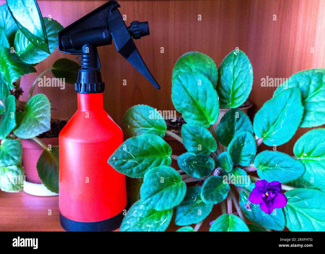 Aerosol spray environment hi-res stock photography and images - Alamy