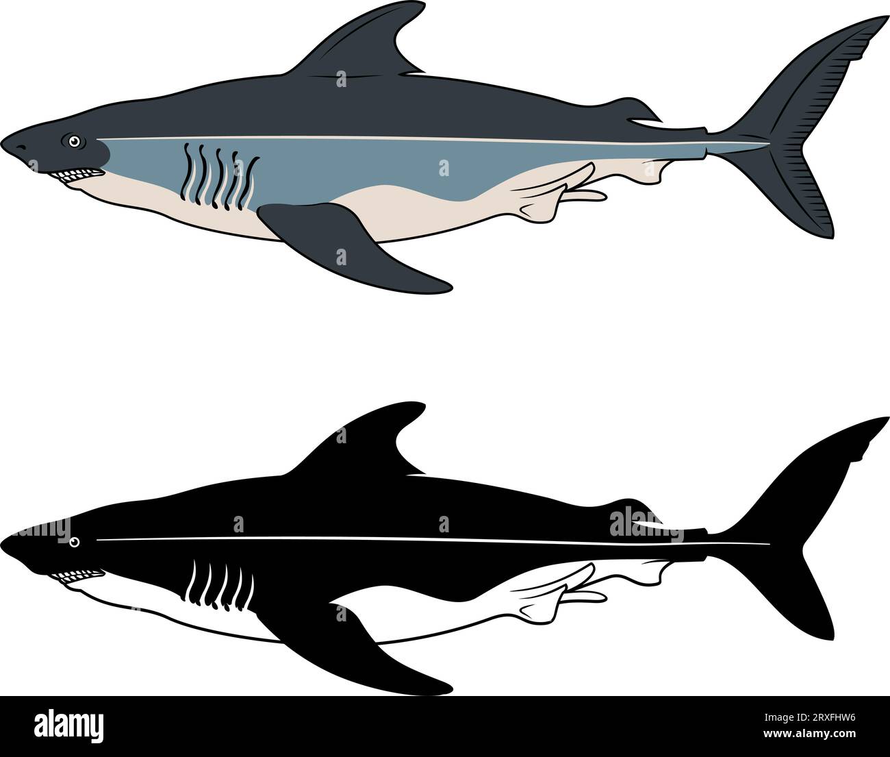 Shark Clip Art Black And White 24 Different Clip Art About Sharks By