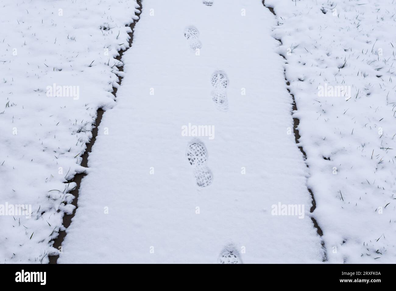 Steps on snow covered path with snow covered grass Stock Photo - Alamy