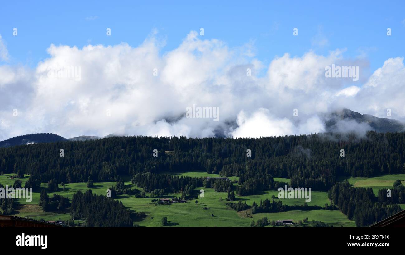 Large and vast forests in the Alto Adige region, this one is in the ...