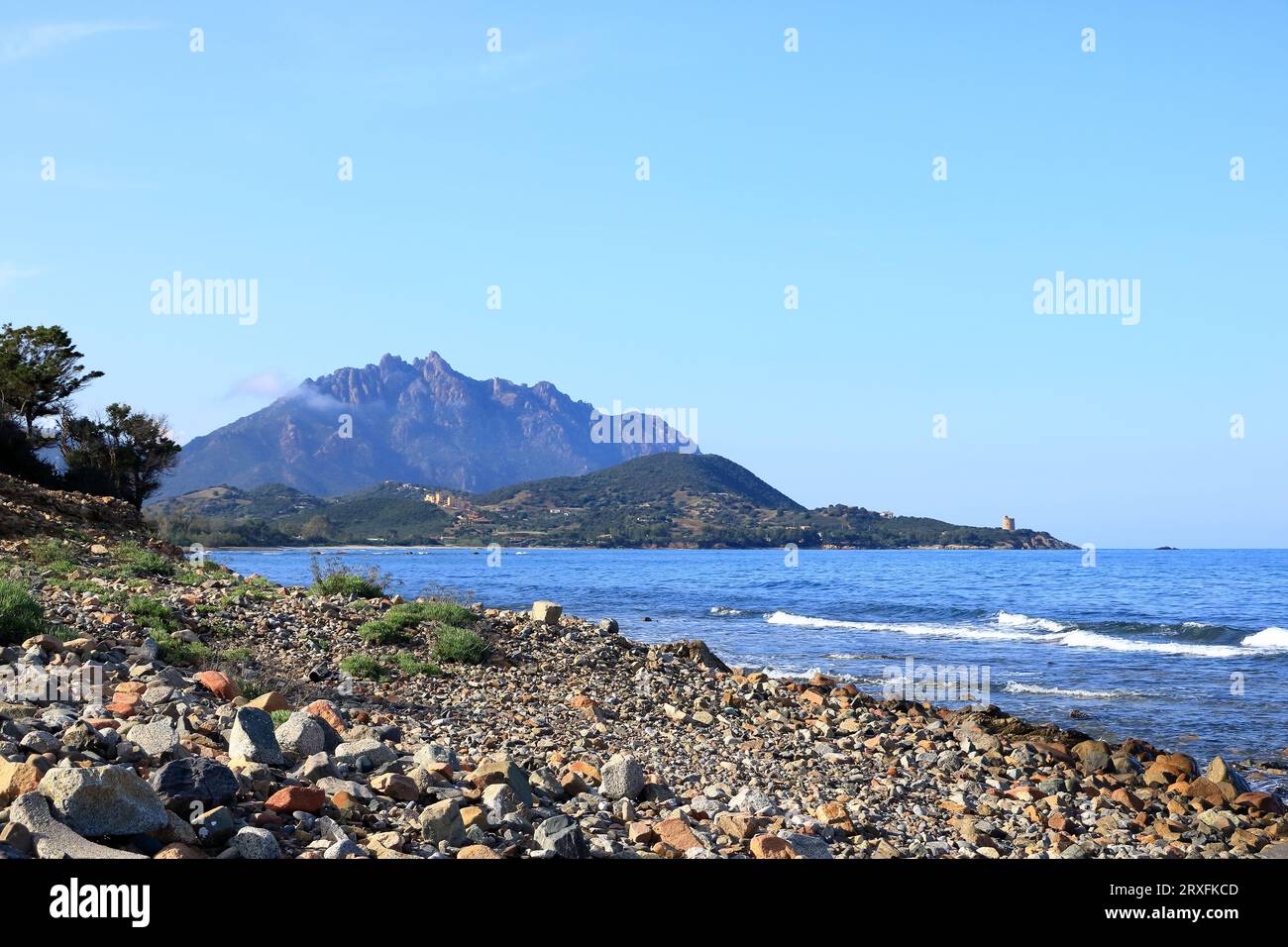Barisoni hi-res stock photography and images - Alamy