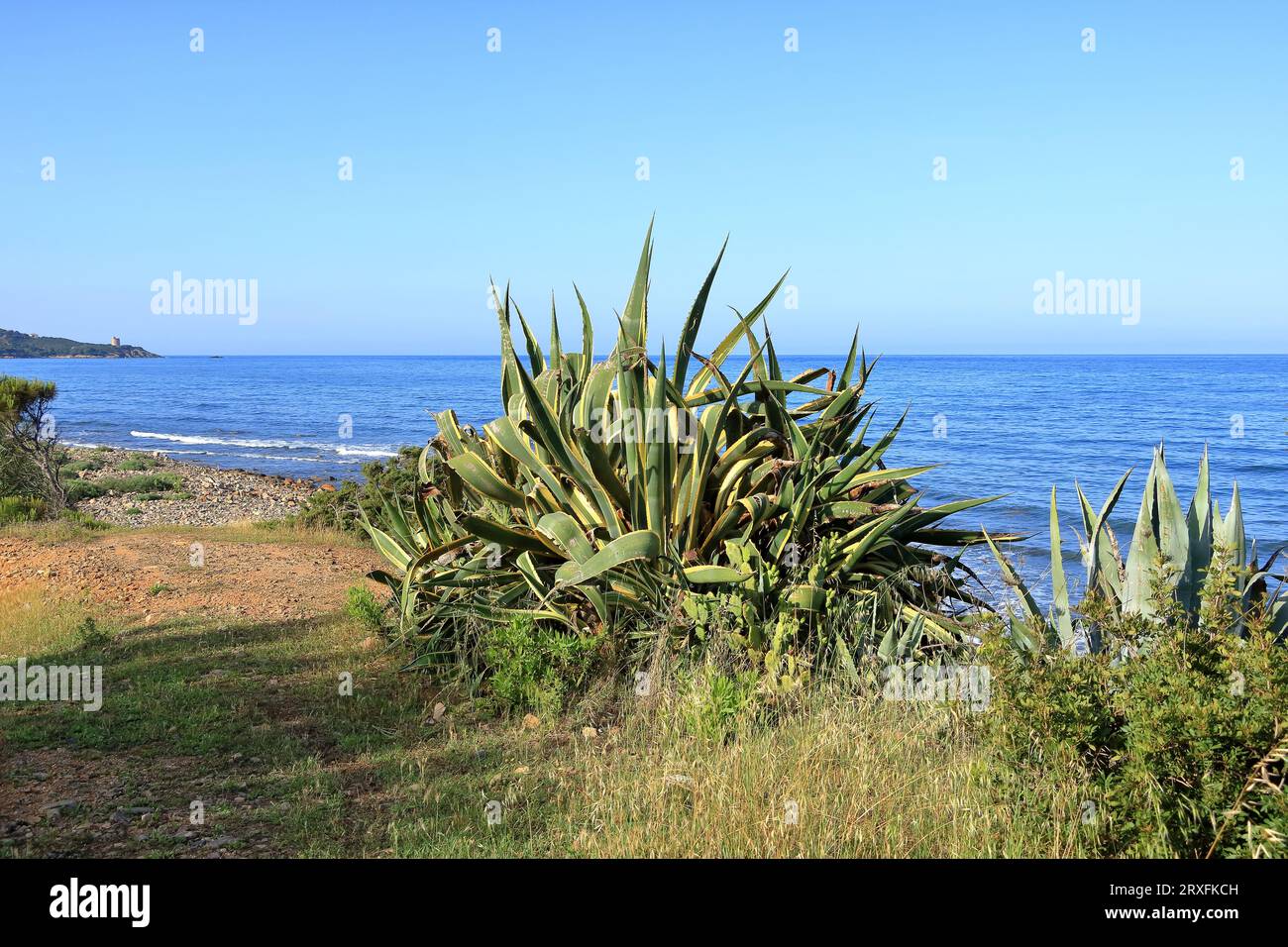 a Panoramic view of Spiaggia di Barisoni beach in Tertenia. Sardinia ...