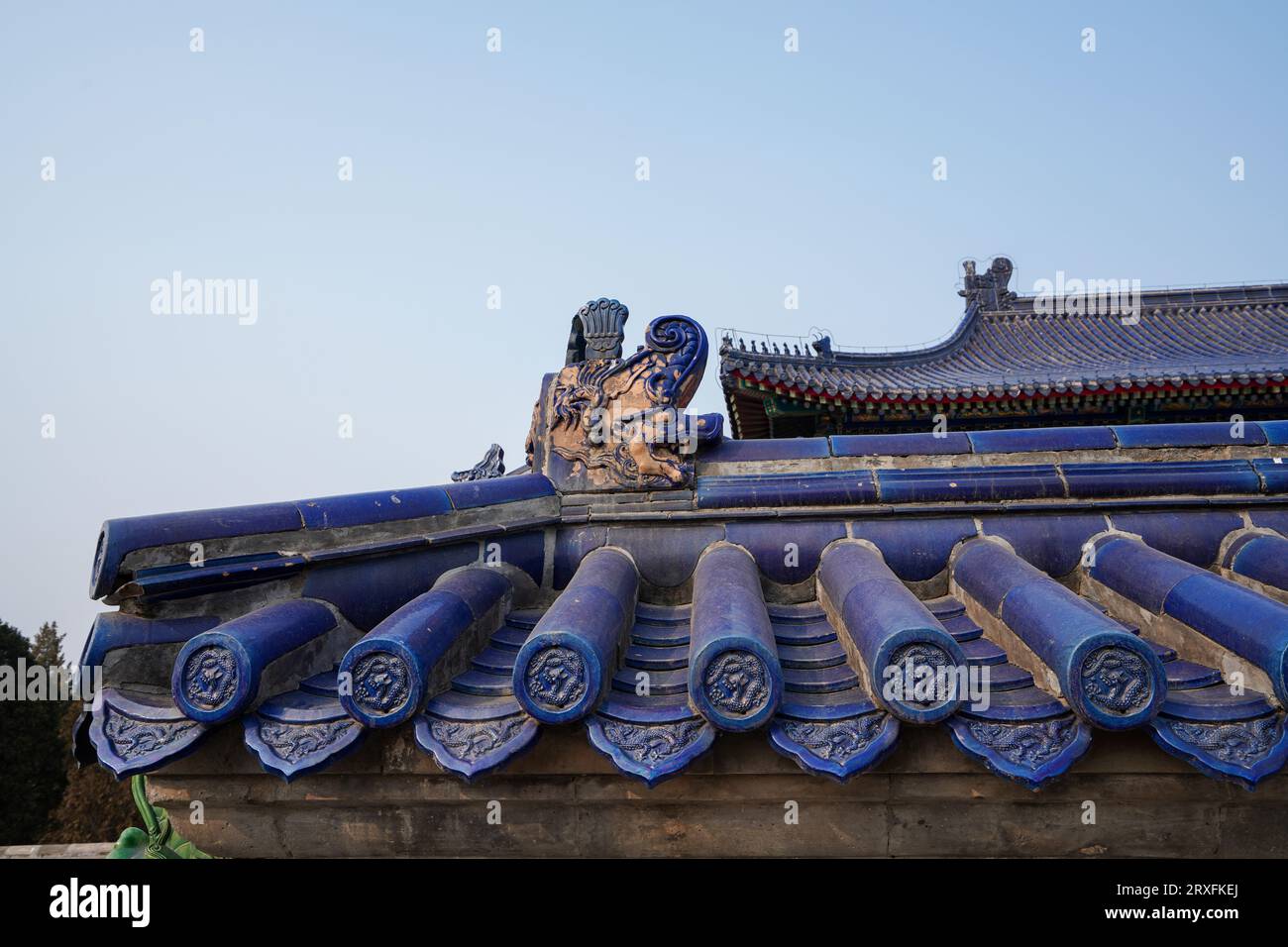 Purple Chinese glazed roof tile of the Temple of Heaven in Beijing ...