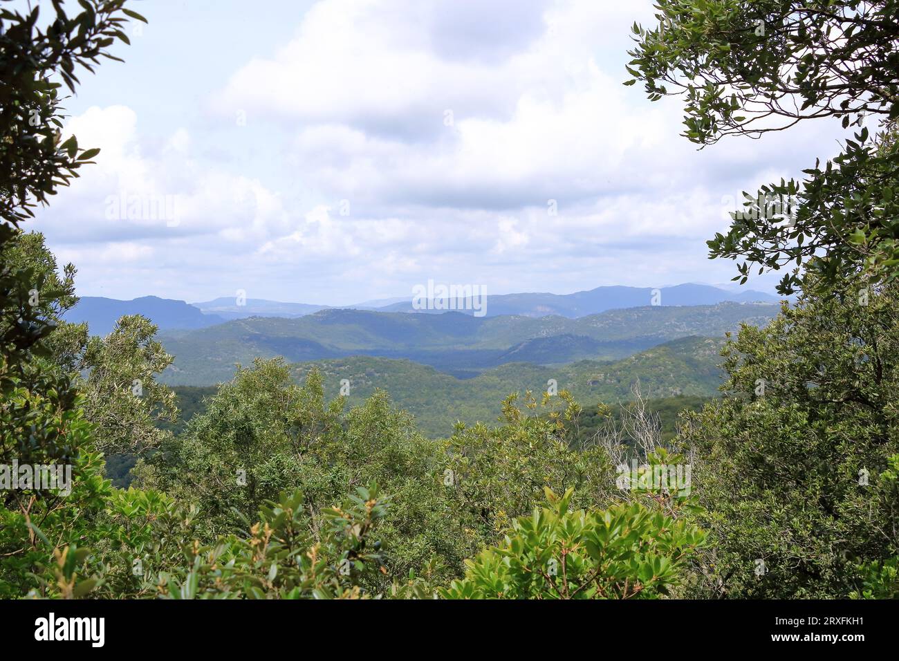 an Overview of the National Park of Barbagia with limestone rocks and ...