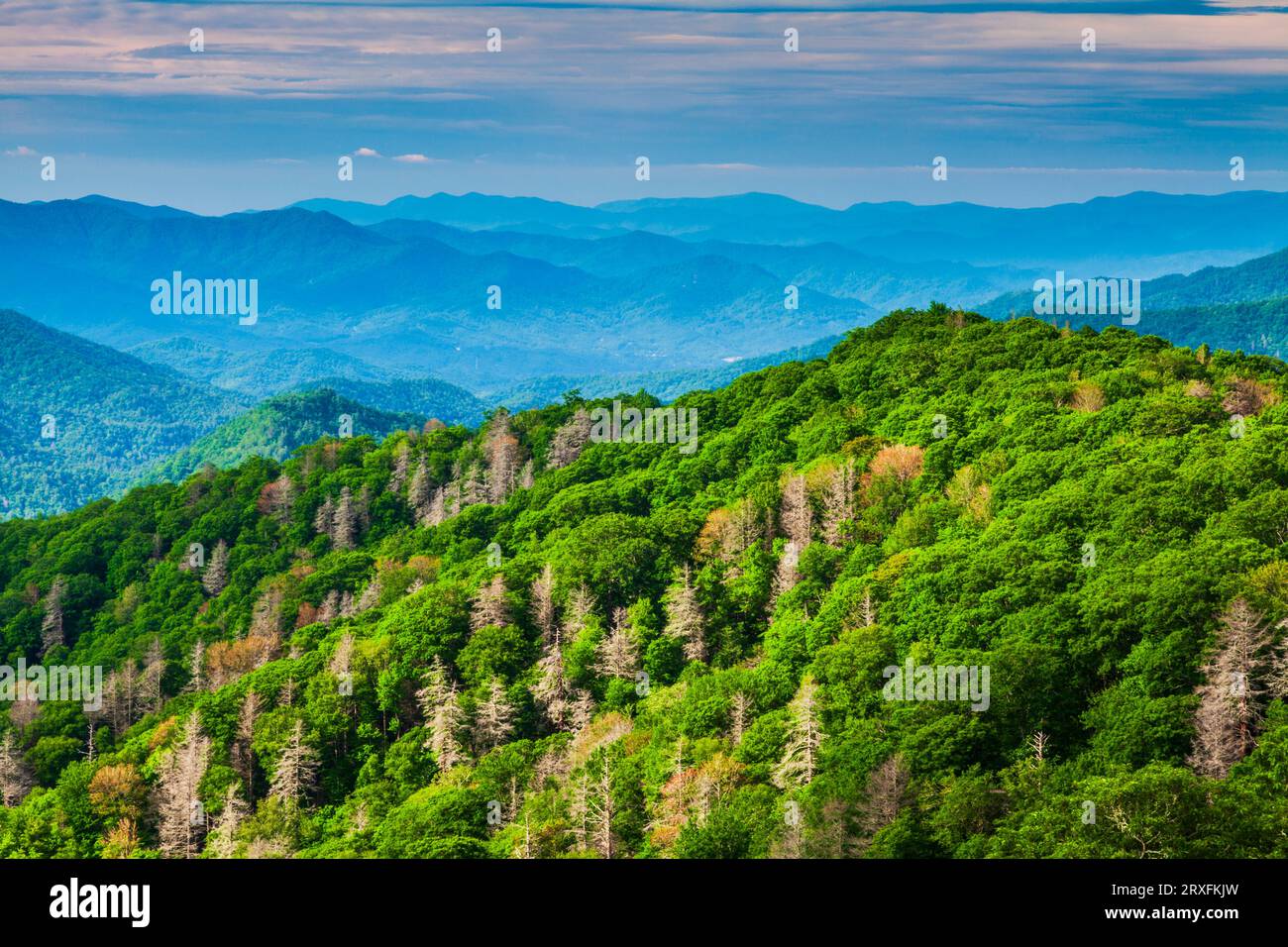 Overlook View in the Great Smoky Mountains National Park on the North ...