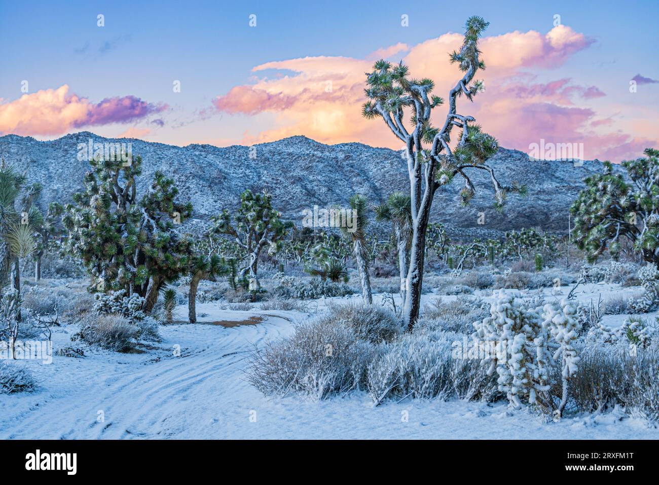 Desert Hike In The Snow During Sunset Stock Photo - Alamy