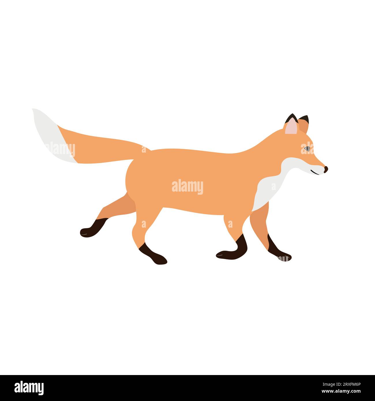 Little fox clipart hi-res stock photography and images - Alamy