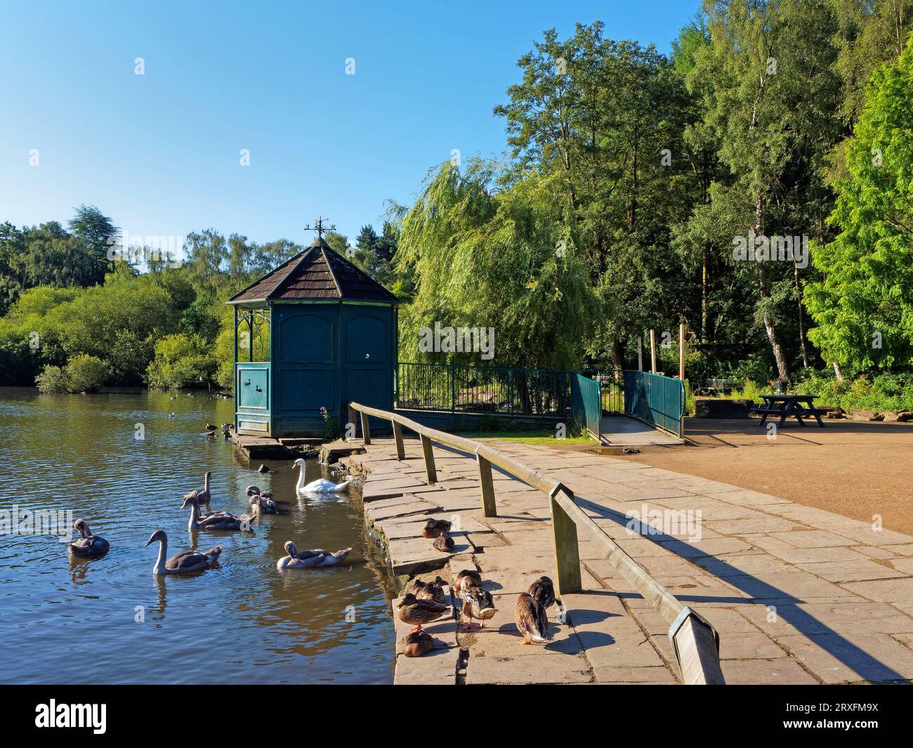 UK, West Yorkshire, Leeds, Bramhope, Golden Acre Park, Wildfowl Lake ...