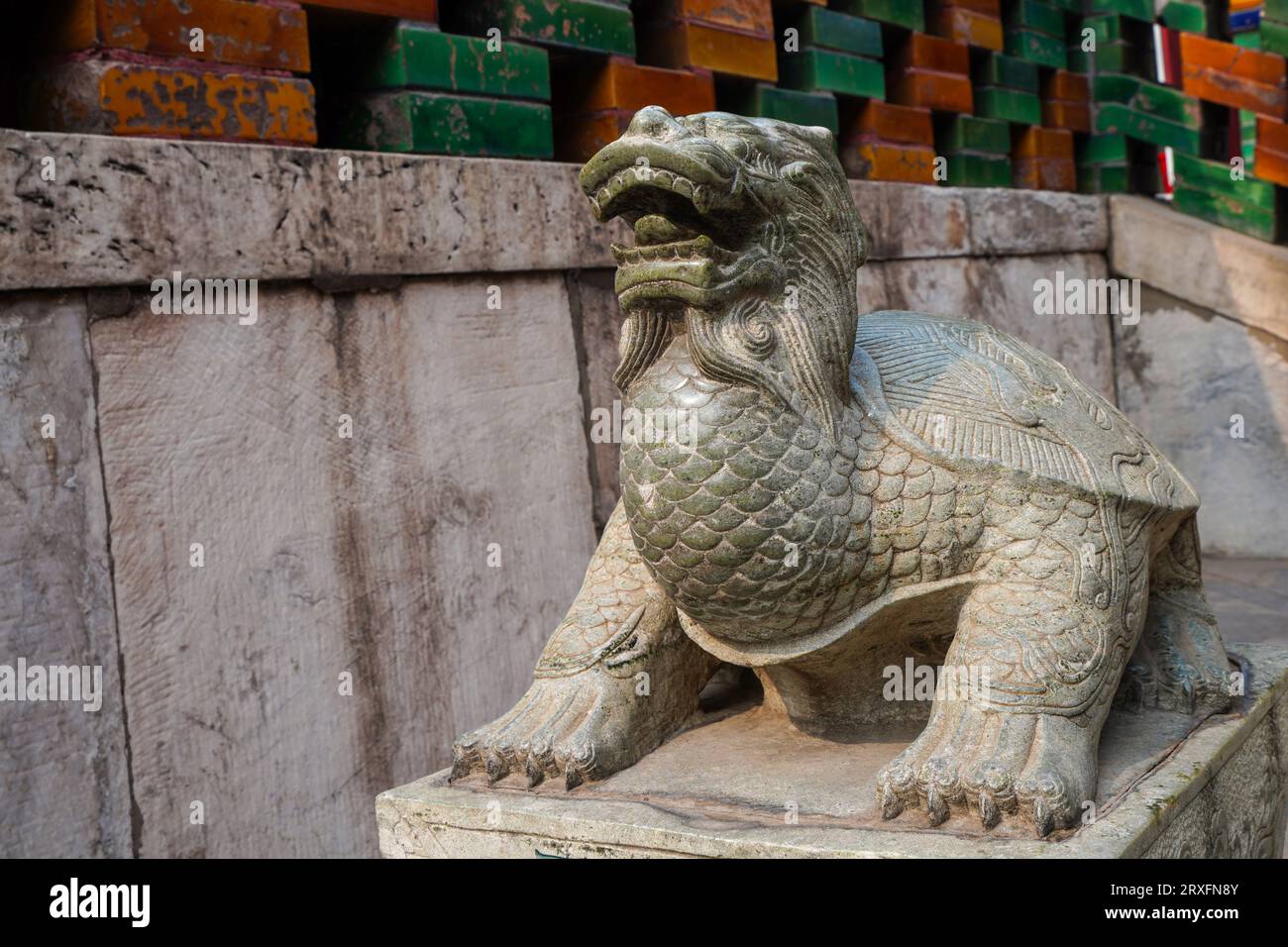 Dragon turtle hi-res stock photography and images - Alamy