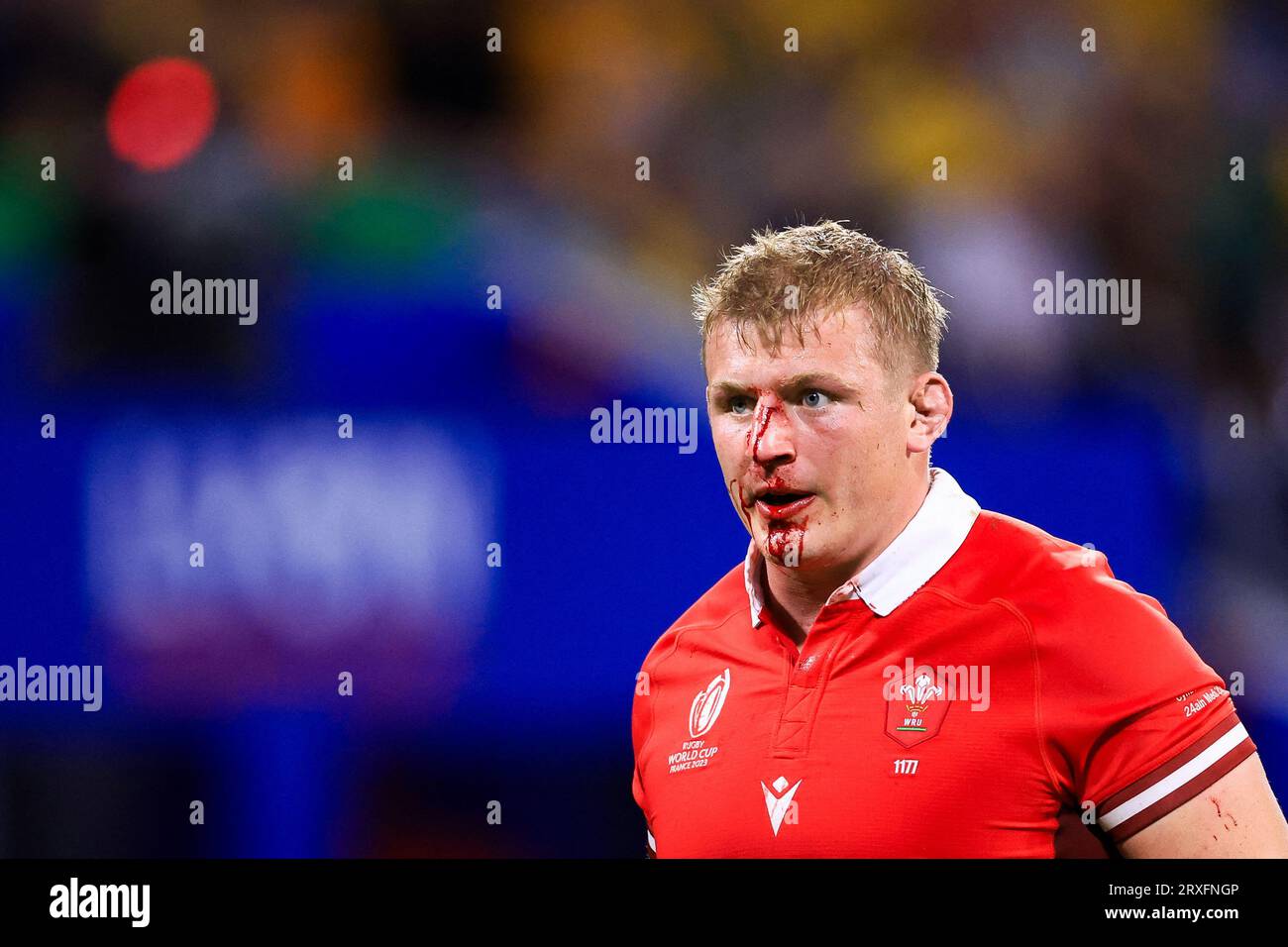 Jac morgan of wales hi-res stock photography and images - Alamy