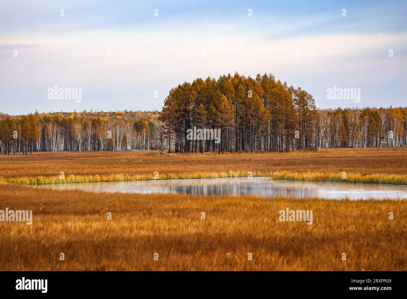 GREATER KHINGAN, CHINA - SEPTEMBER 24, 2023 - The scenery of the ...