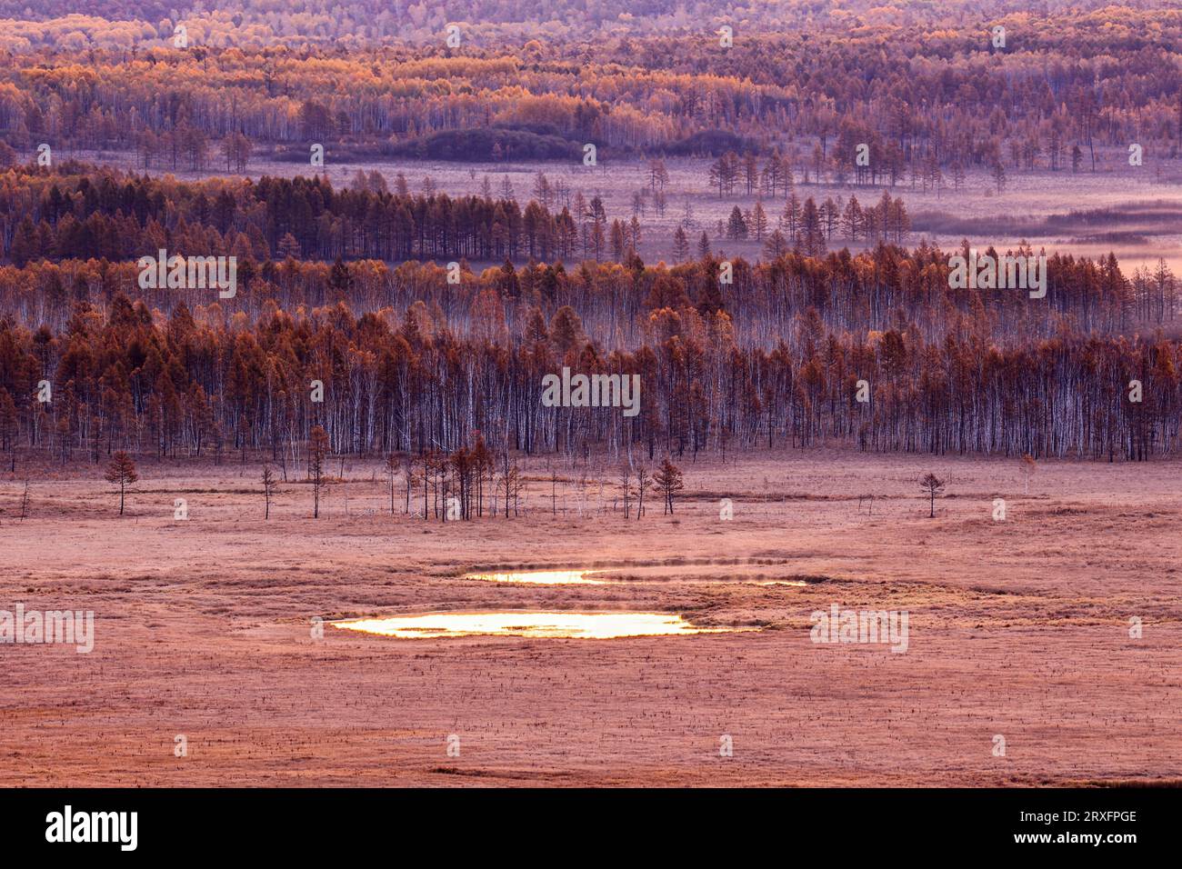 GREATER KHINGAN, CHINA - SEPTEMBER 24, 2023 - The scenery of the ...