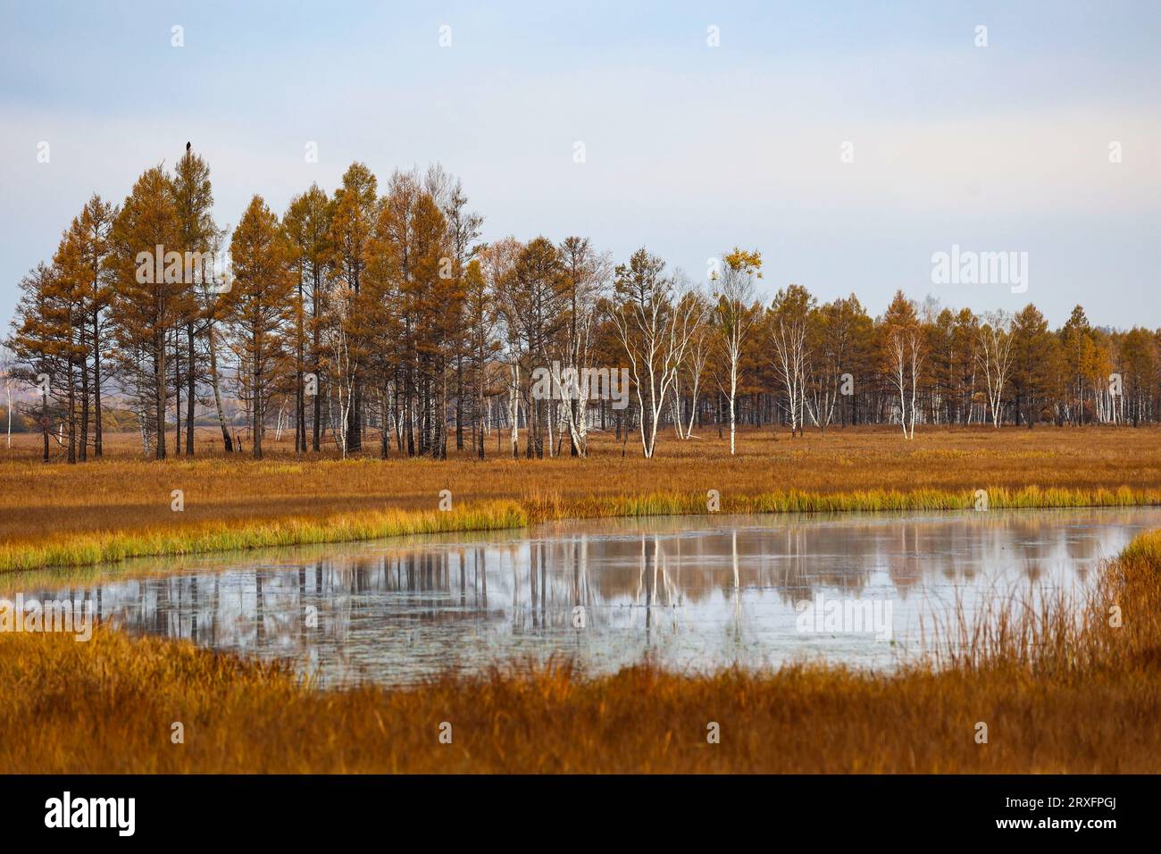 GREATER KHINGAN, CHINA - SEPTEMBER 24, 2023 - The scenery of the ...