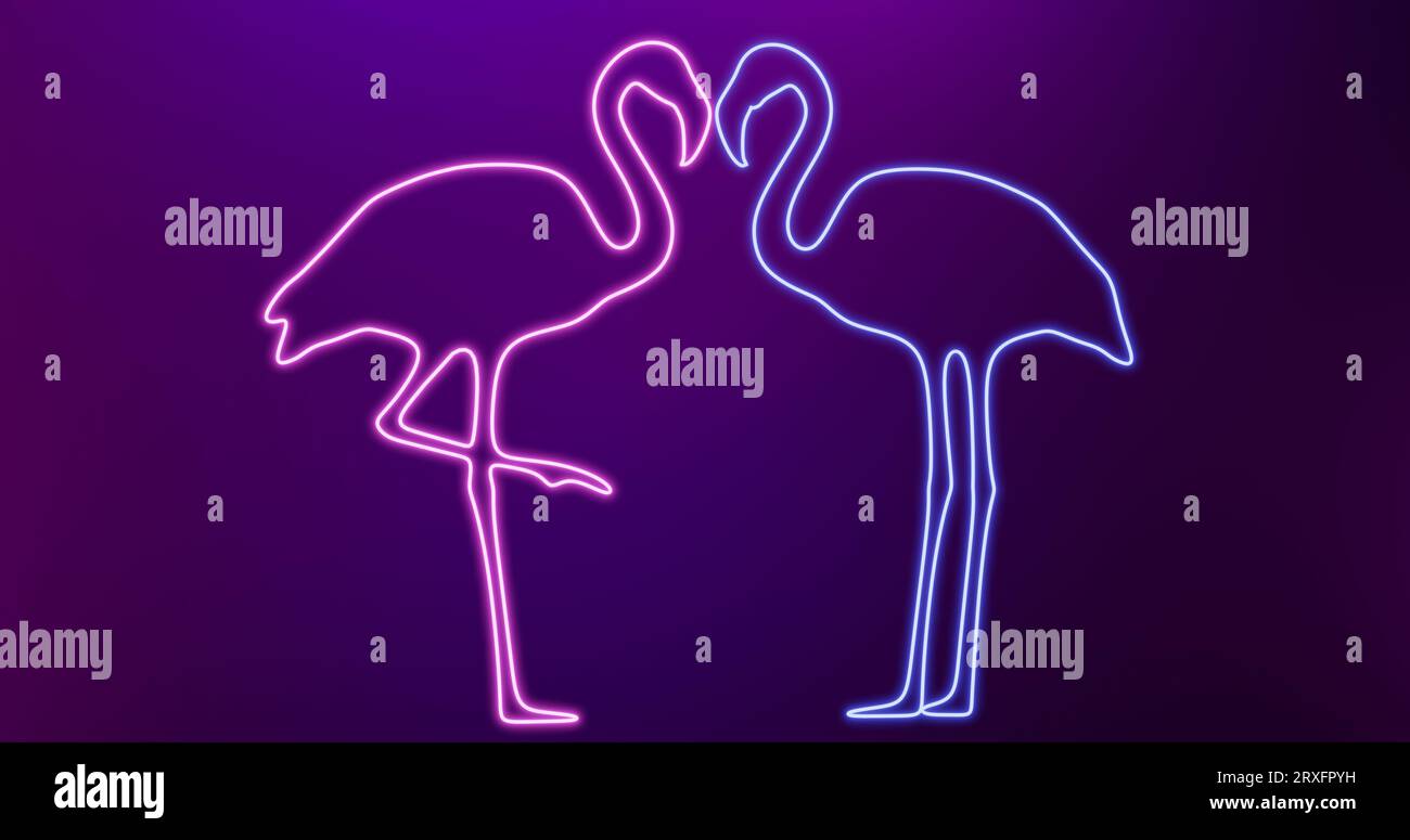 pink and blue neon colored flamingos isolated on blue purple gradient ...
