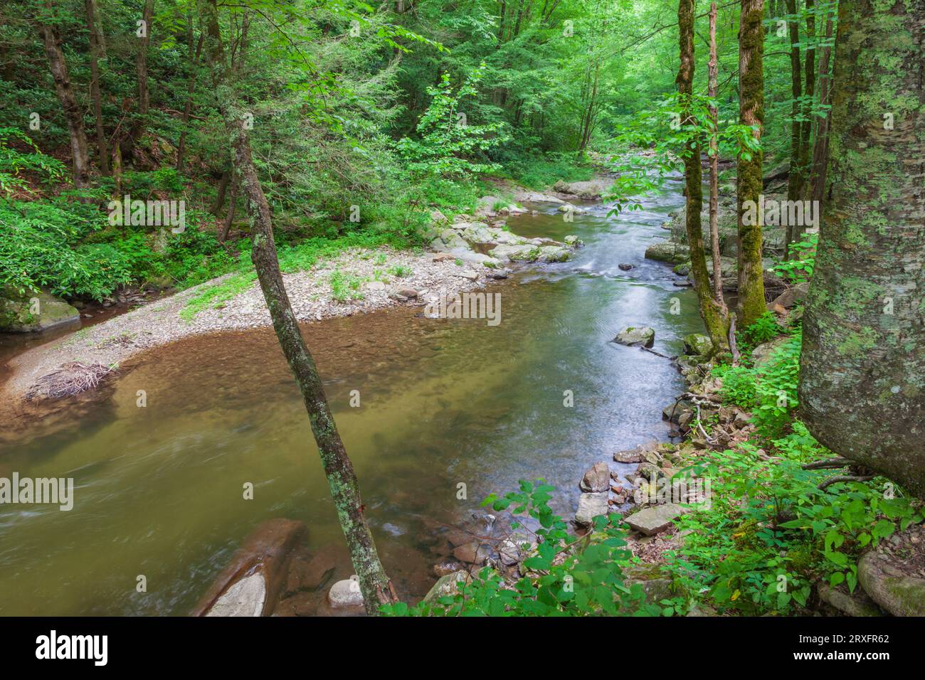 Laurel creek water cascades hi-res stock photography and images - Alamy