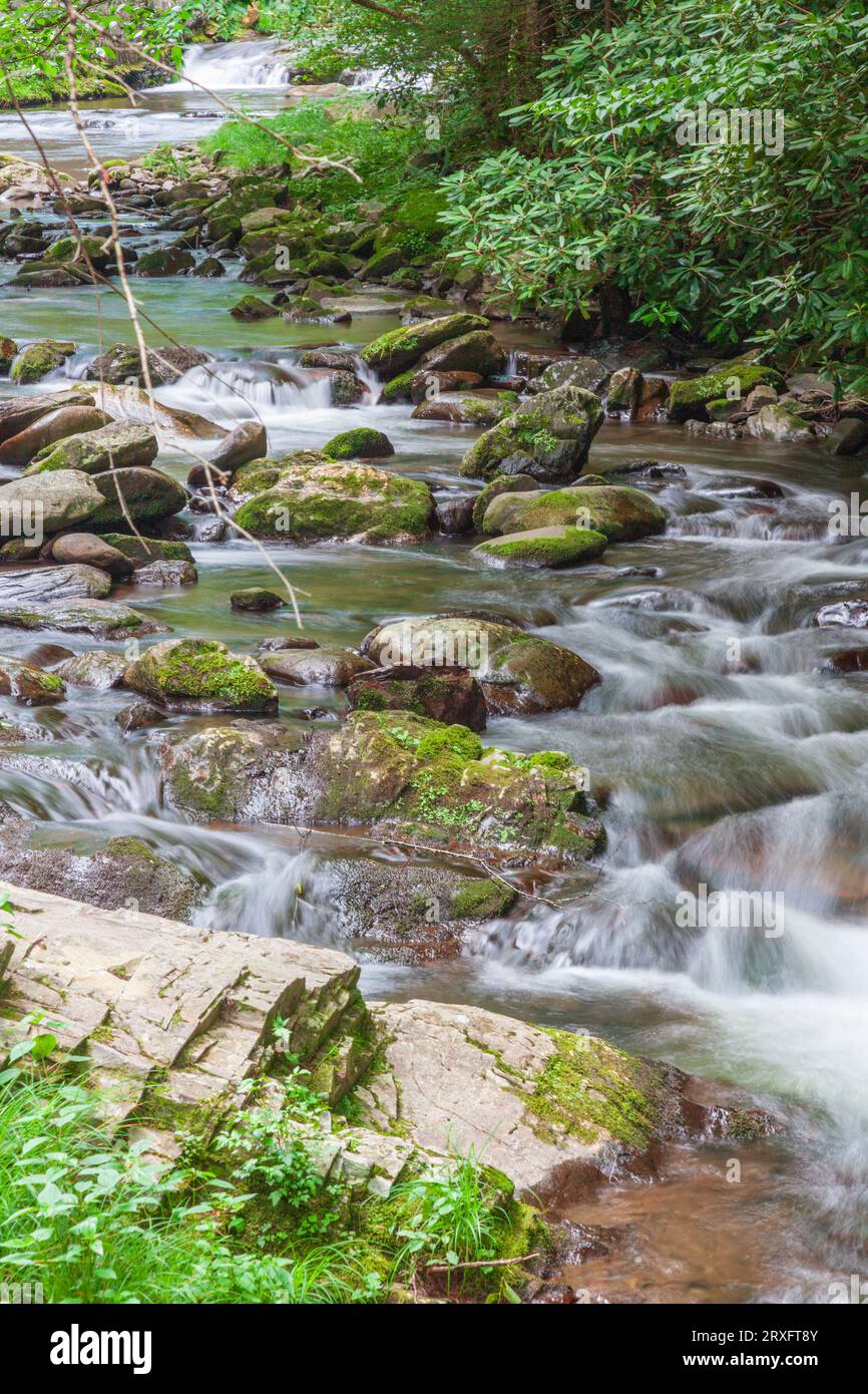 Laurel creek road connects to cades cove loop hi-res stock photography ...