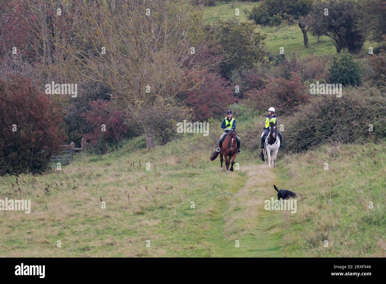 Horse riding two ladies on the south downs UK a brown horse and a black ...