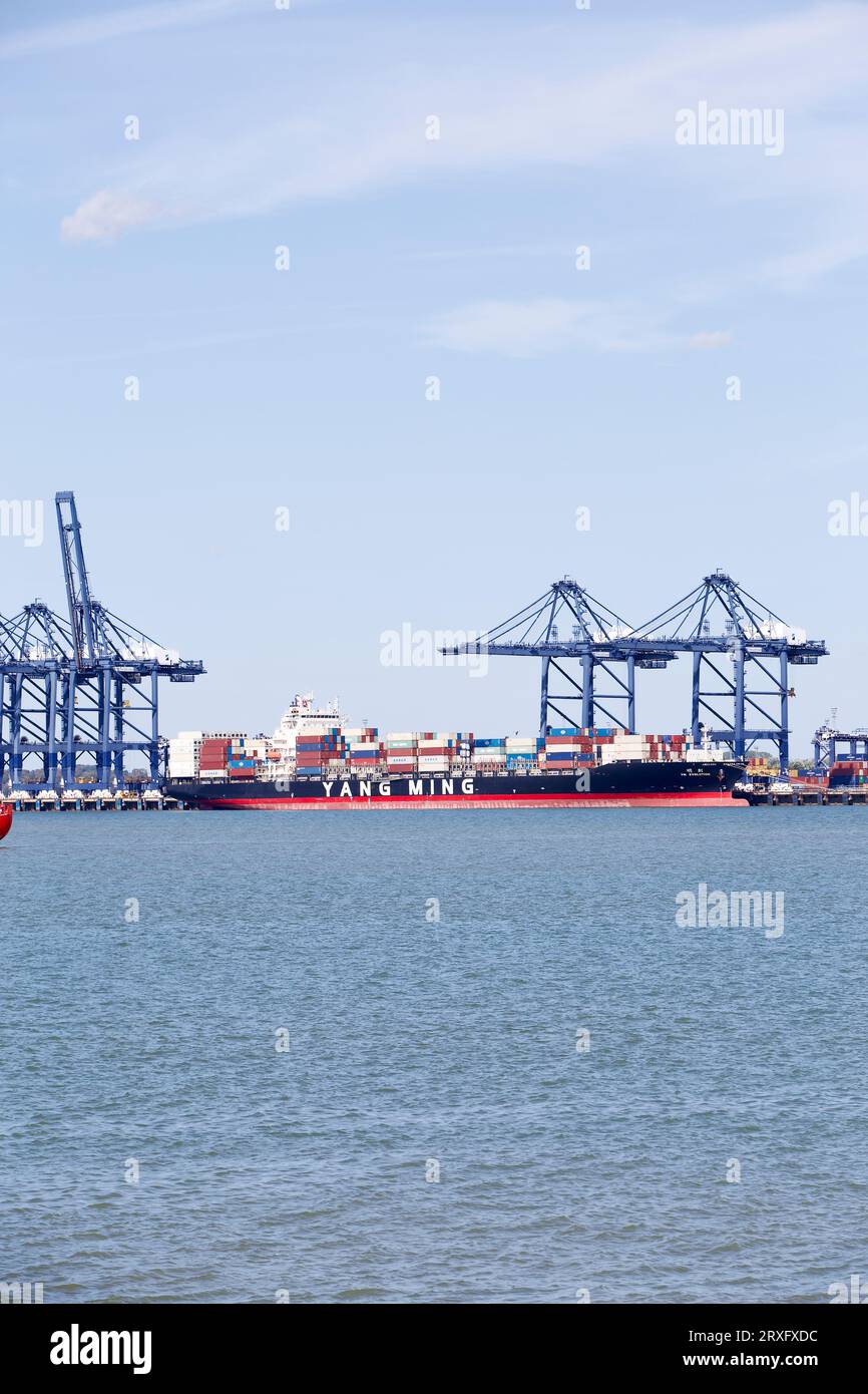 Container ship YM Evolution berthed at the Port of Felixstowe, Suffolk ...