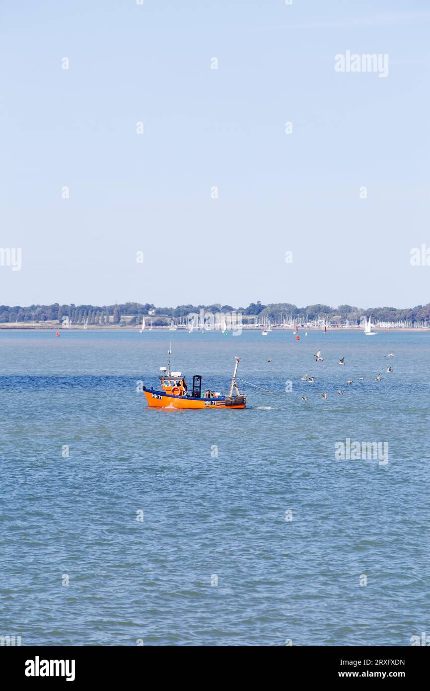 Fishing boat HH71 fishing in Harwich Haven at the confluence of the ...