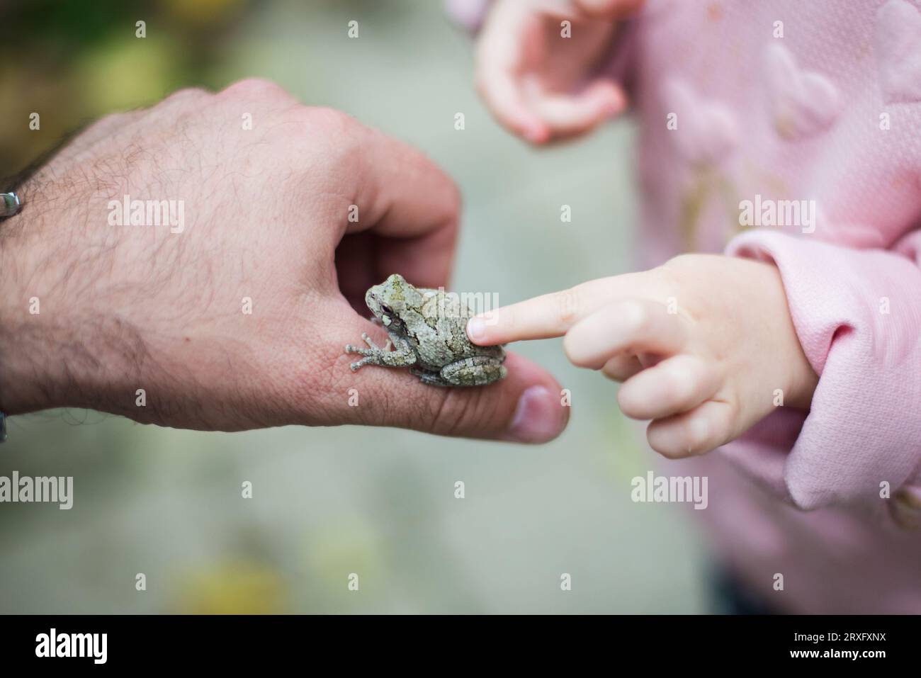Little red riding hood costume hi-res stock photography and images - Alamy