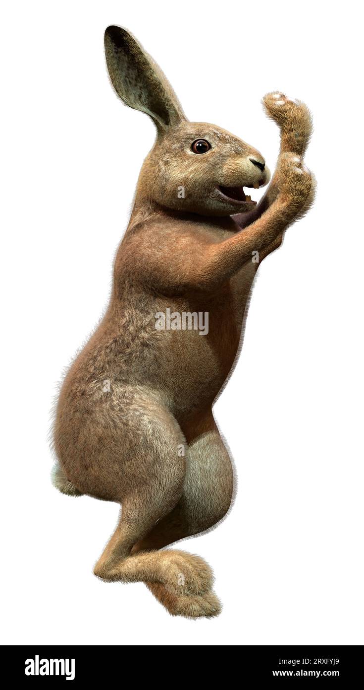 3D rendering of a brown hare isolated on white background Stock Photo ...
