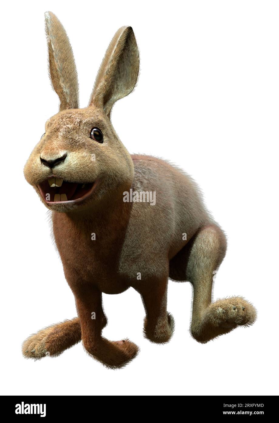 3D rendering of a brown hare isolated on white background Stock Photo ...