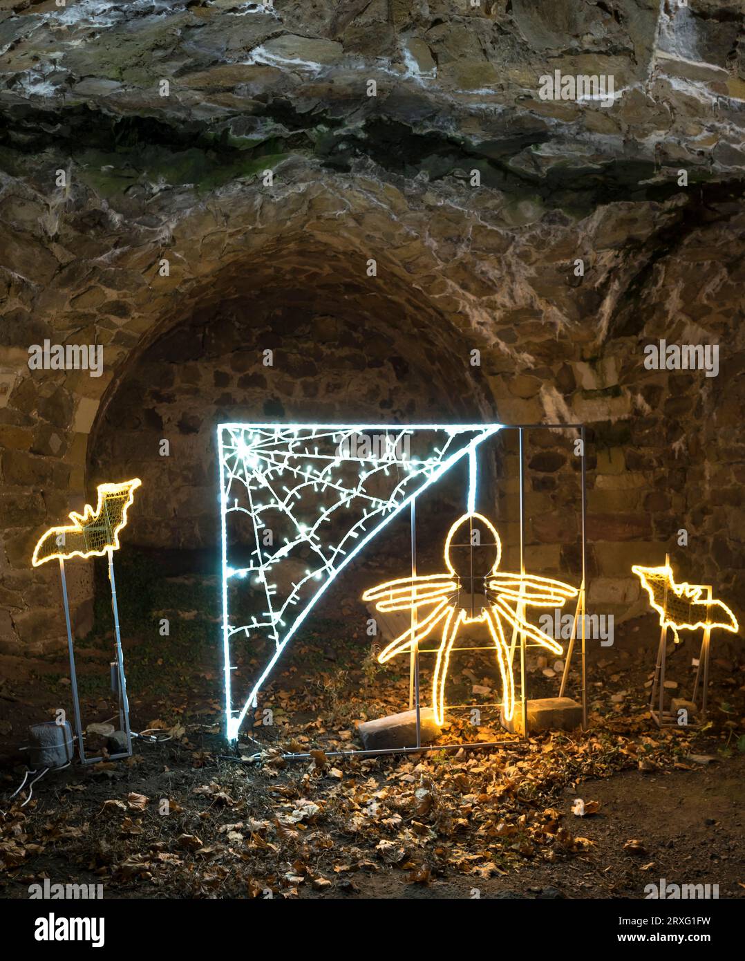 Princes vine hi-res stock photography and images - Alamy