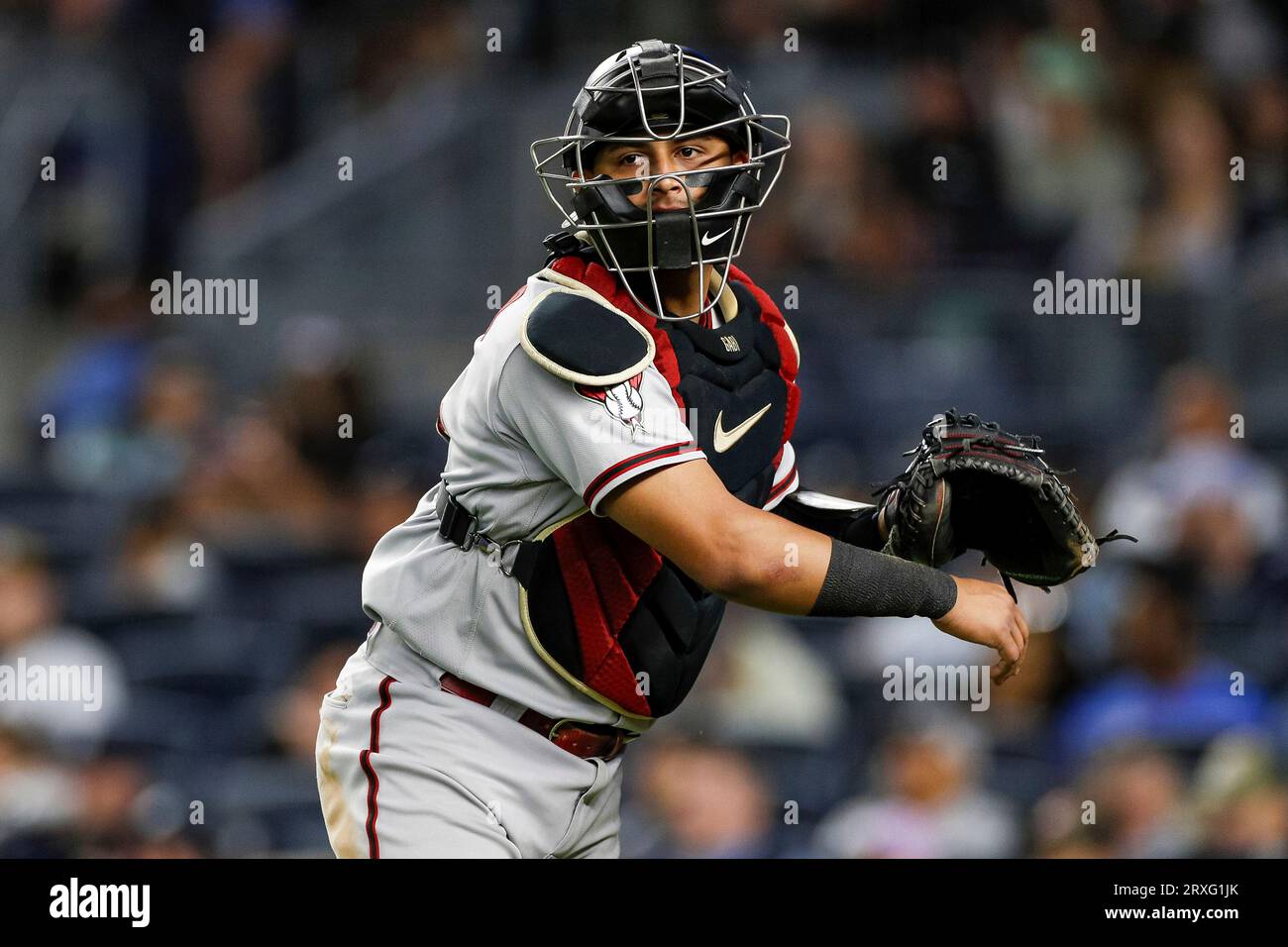 BRONX, NY - SEPTEMBER 22: Arizona Diamondbacks catcher Gabriel Moreno ...