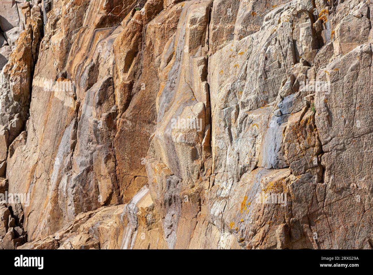 Close-up of the rock structure of a granite rock, Cote de Granit Rose ...