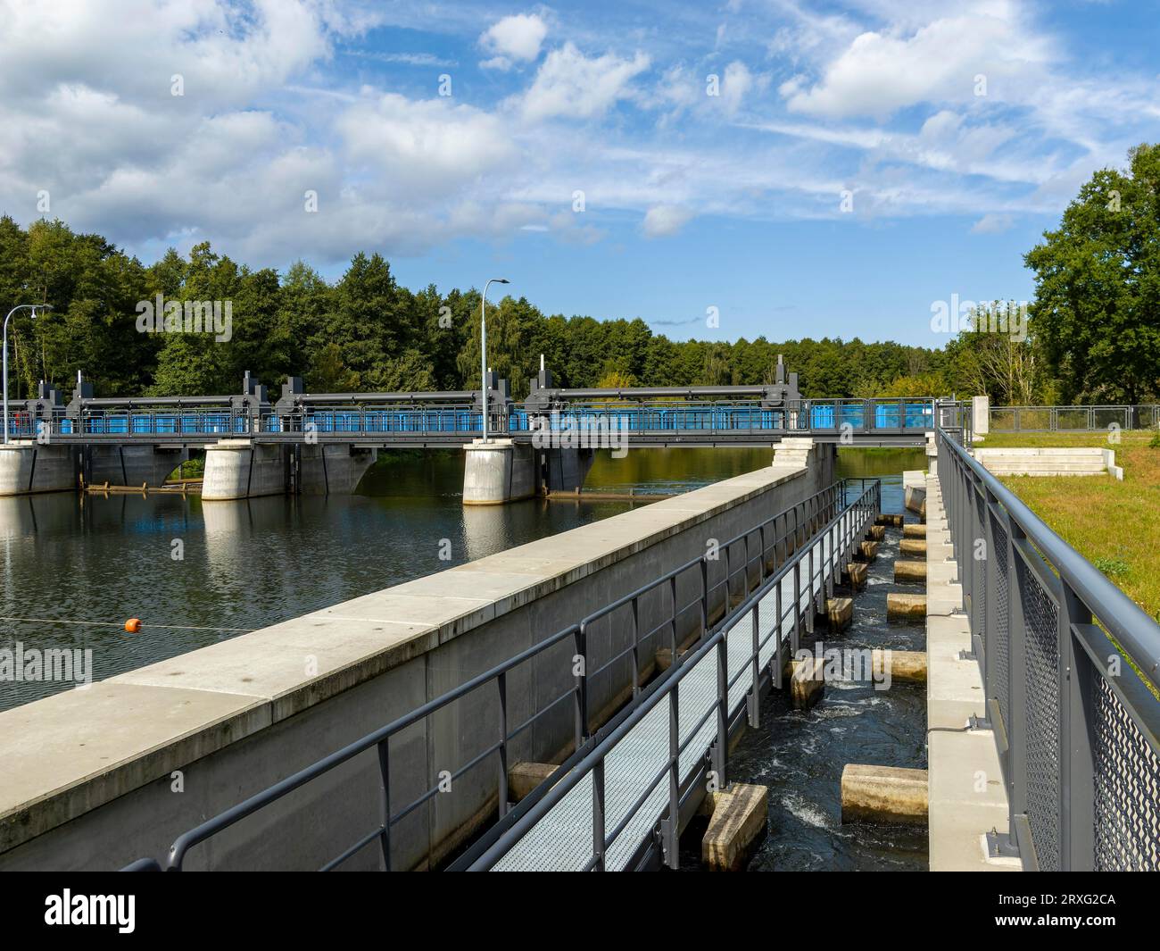 German fish species hi-res stock photography and images - Alamy